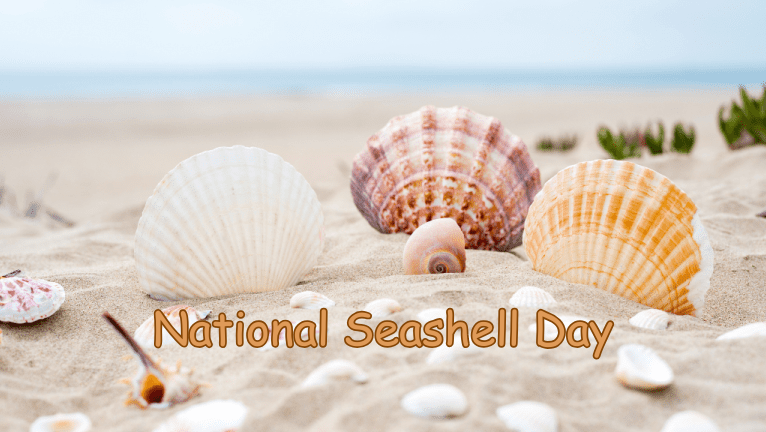 National Seashell Day - Sunny Atlantic Beach Club